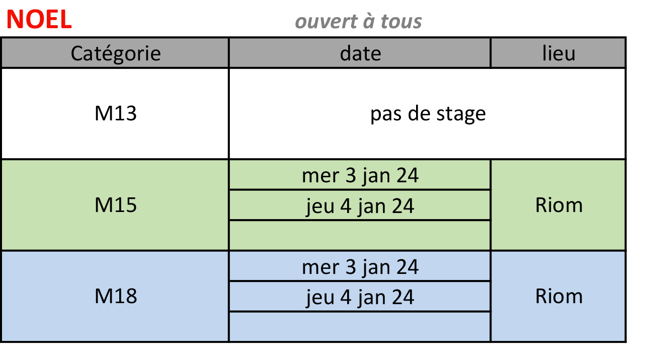 Les stages de la saison – Comité du Puy-de-Dôme de volley-ball